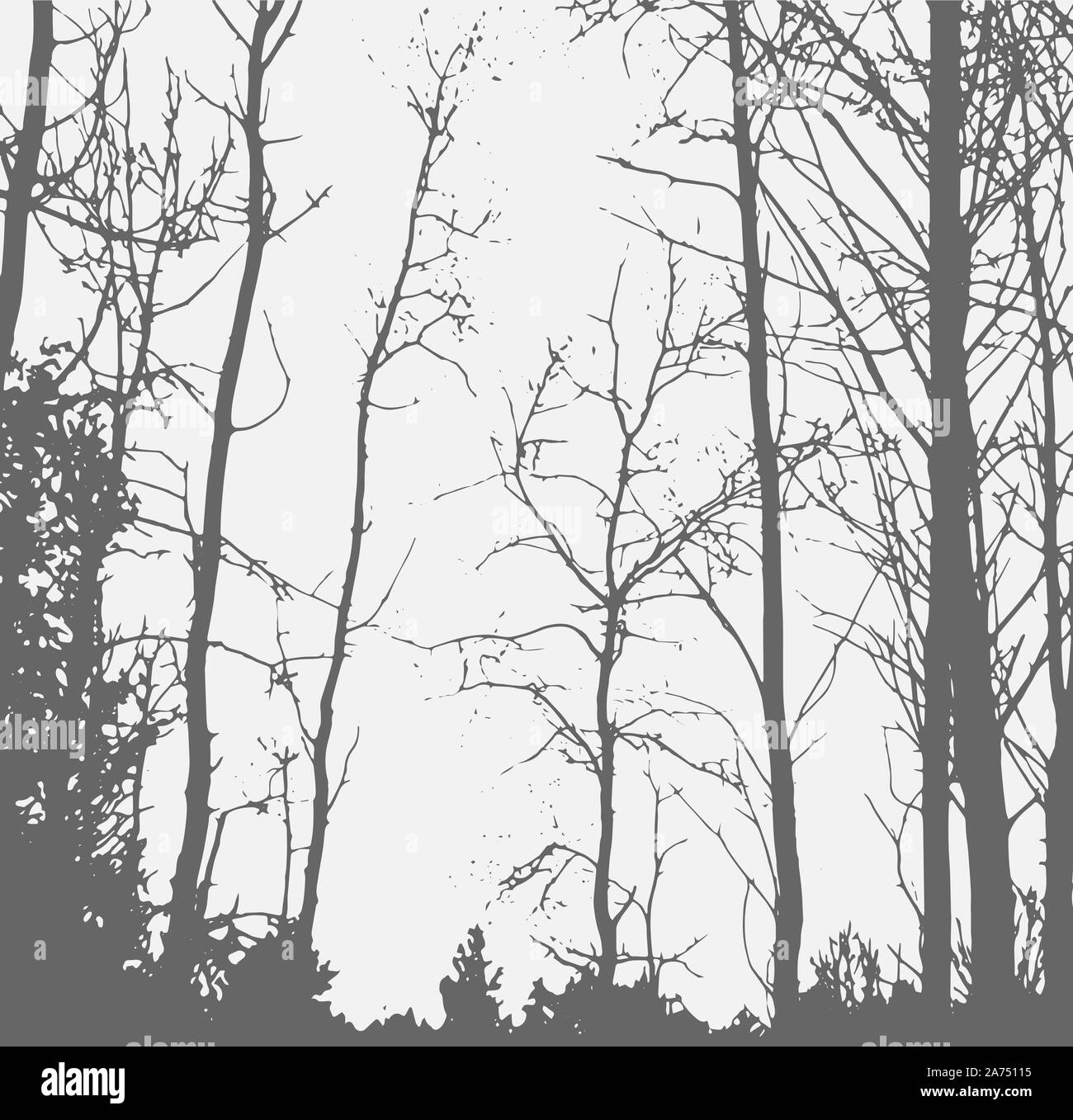 Silhouettes of Trees on subtle background. Tree Pattern. Vector ...