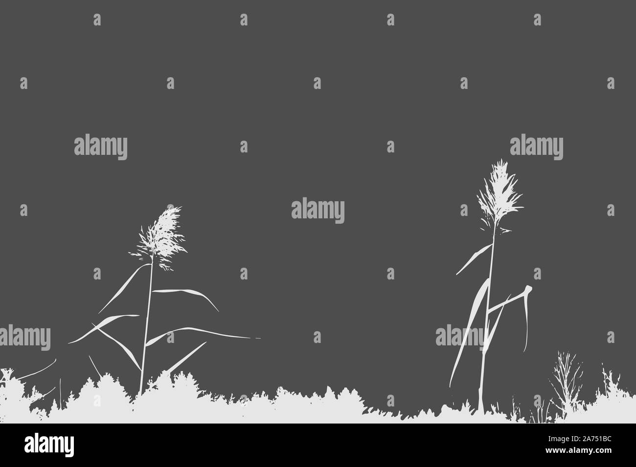 Silhouette of Reed Bush. Vector Illustration Stock Vector Image & Art ...