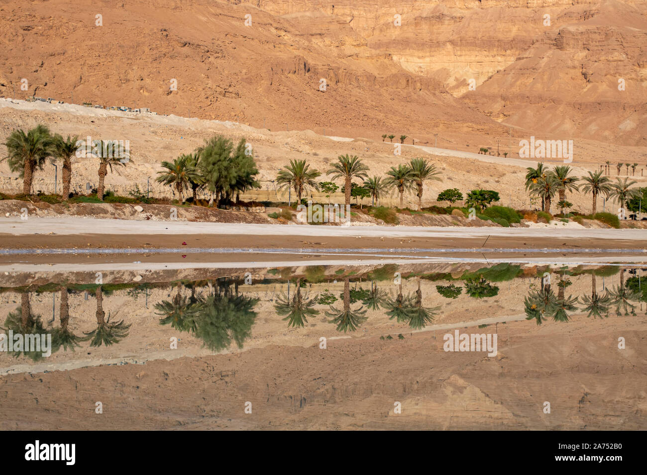 Reflection of mountains and palm trees in the water of the Dead Sea at ...