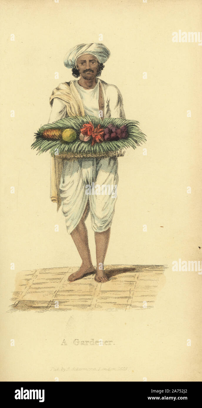 Indian gardener in jacket and turban of white cotton, and kupra of ...
