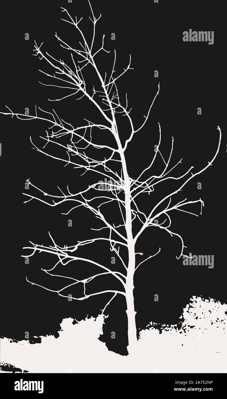 Silhouettes of Trees on subtle background. Tree Pattern. Vector ...