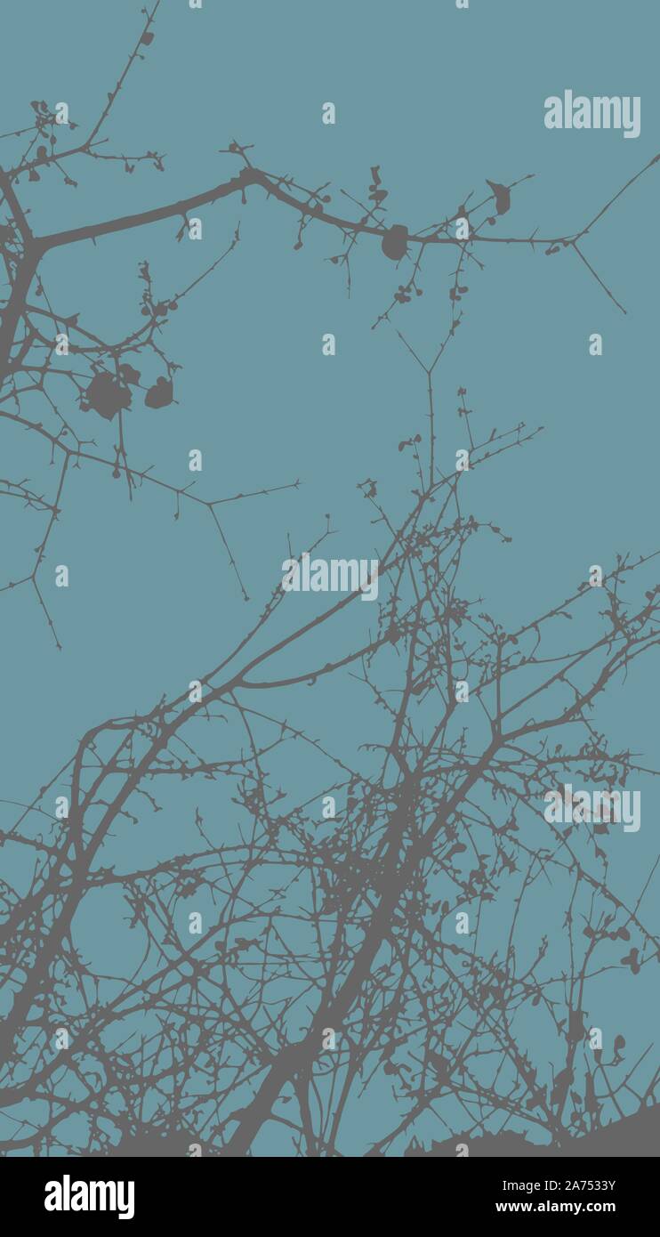 Silhouettes of Trees on subtle background. Tree Pattern. Vector ...