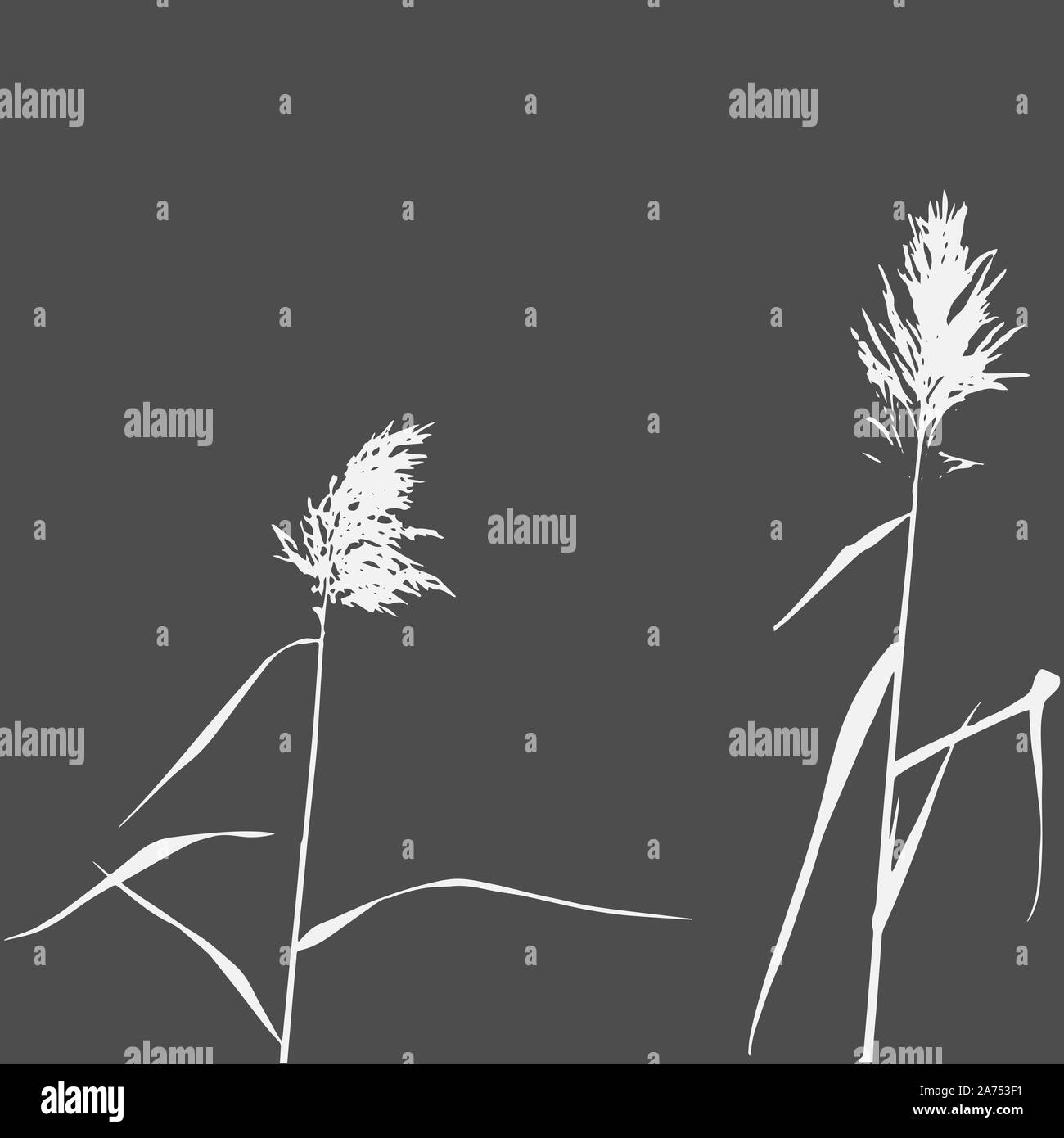 Silhouette of Reed Bush. Vector Illustration Stock Vector Image & Art ...