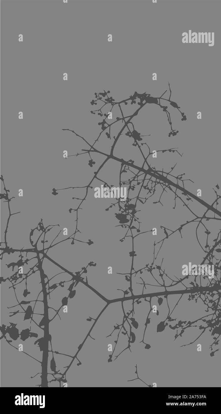 Silhouettes of Trees on subtle background. Tree Pattern. Vector ...