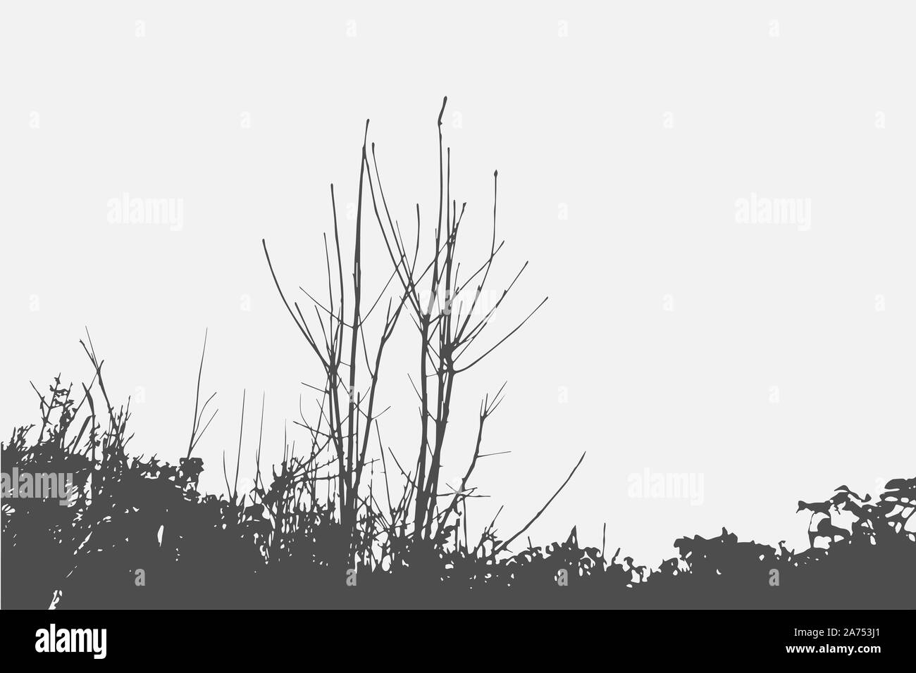 Silhouettes of Trees on subtle background. Tree Pattern. Vector ...