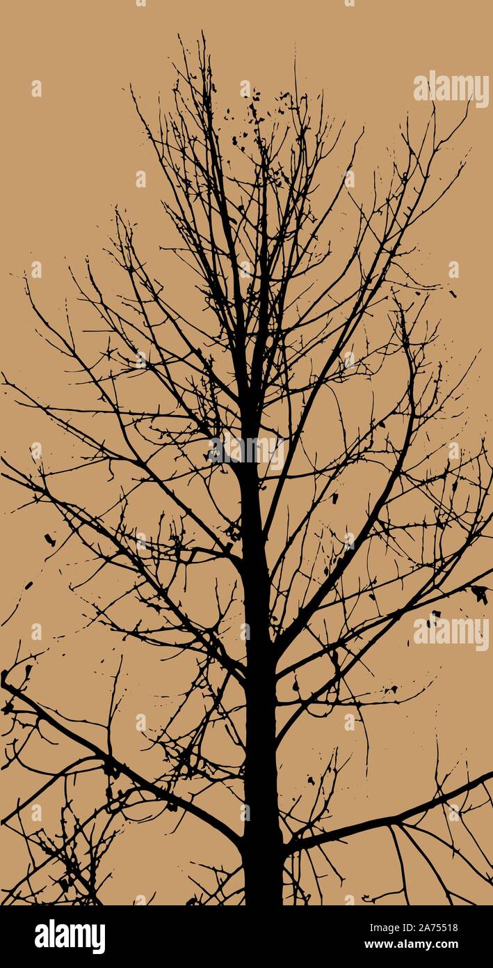 Silhouettes of Trees on subtle background. Tree Pattern. Vector ...