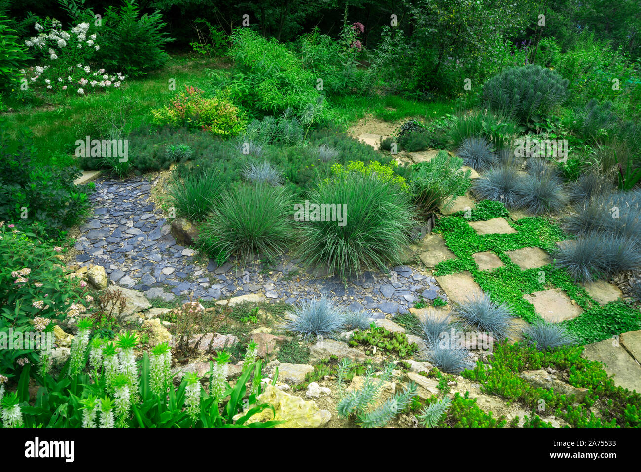 Wild garden with Terracotta path surrounded by Kidney weed (Dichondra ...