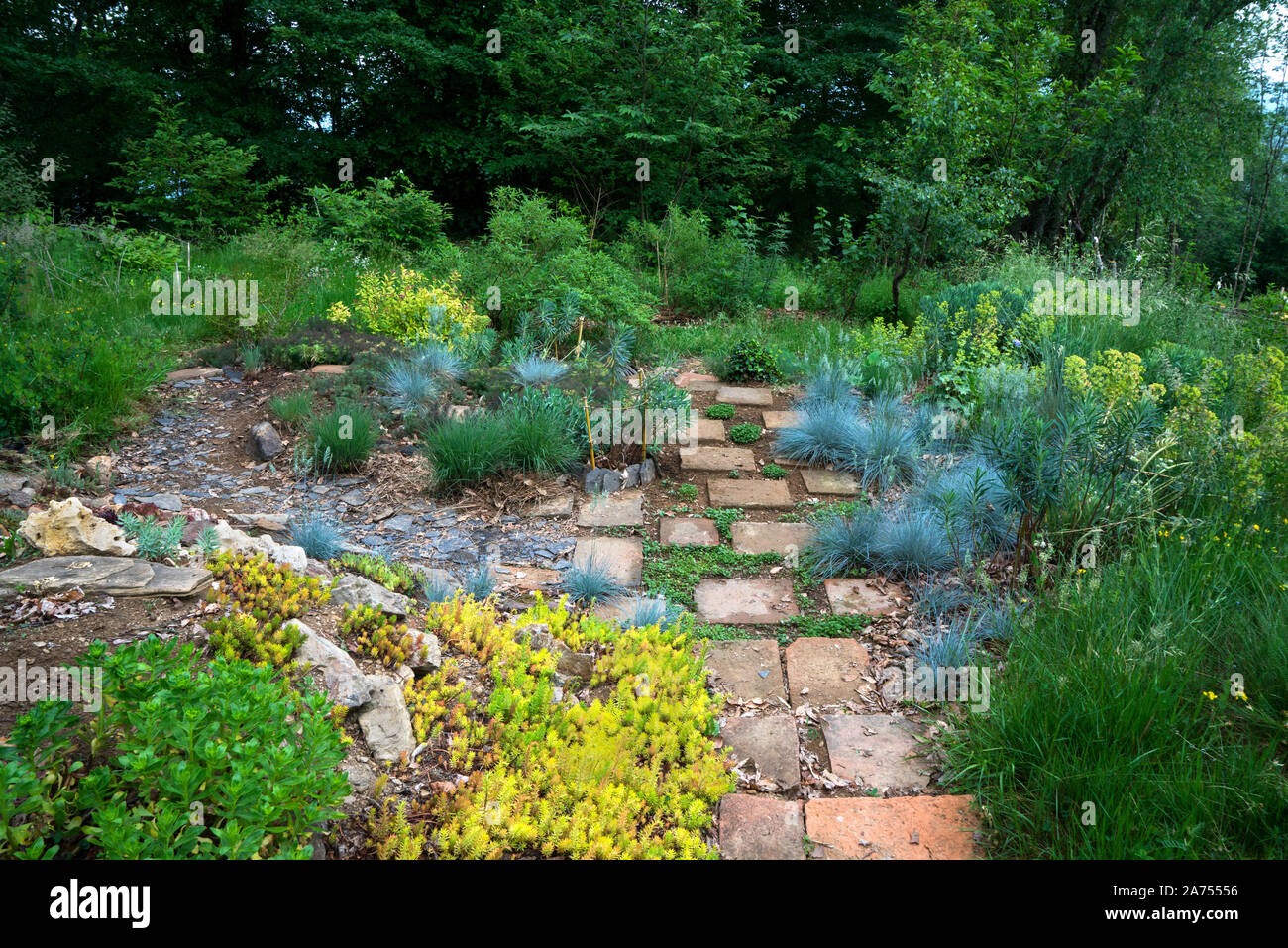 Kidney rock hi-res stock photography and images - Alamy
