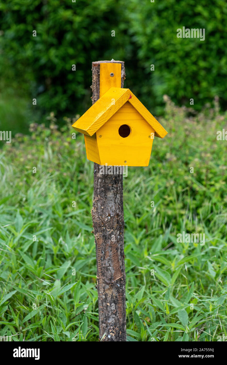 Yellow bird house in a spring garden, Moselle, France Stock Photo - Alamy