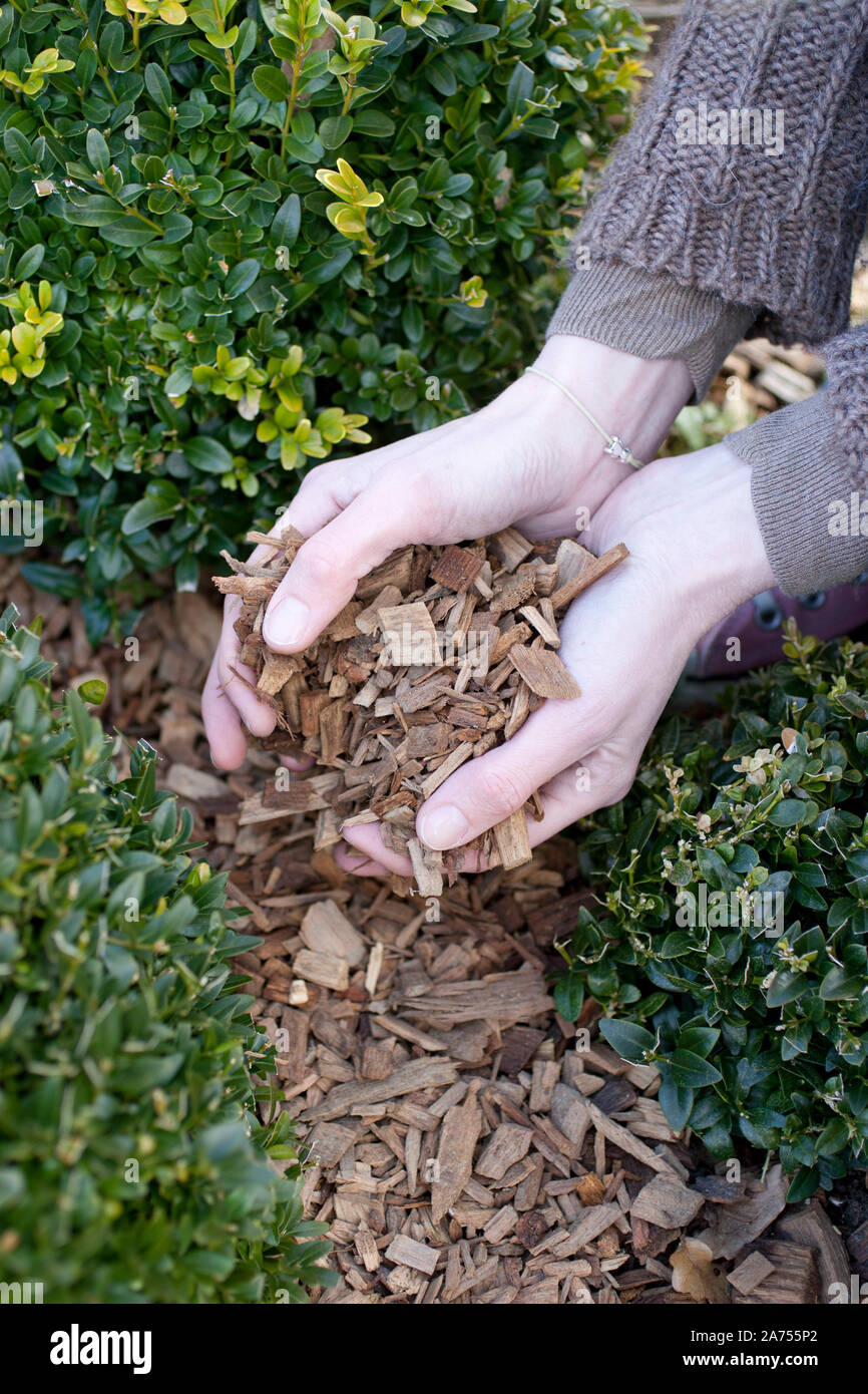 Wood for soil enrichment hi-res stock photography and images - Alamy