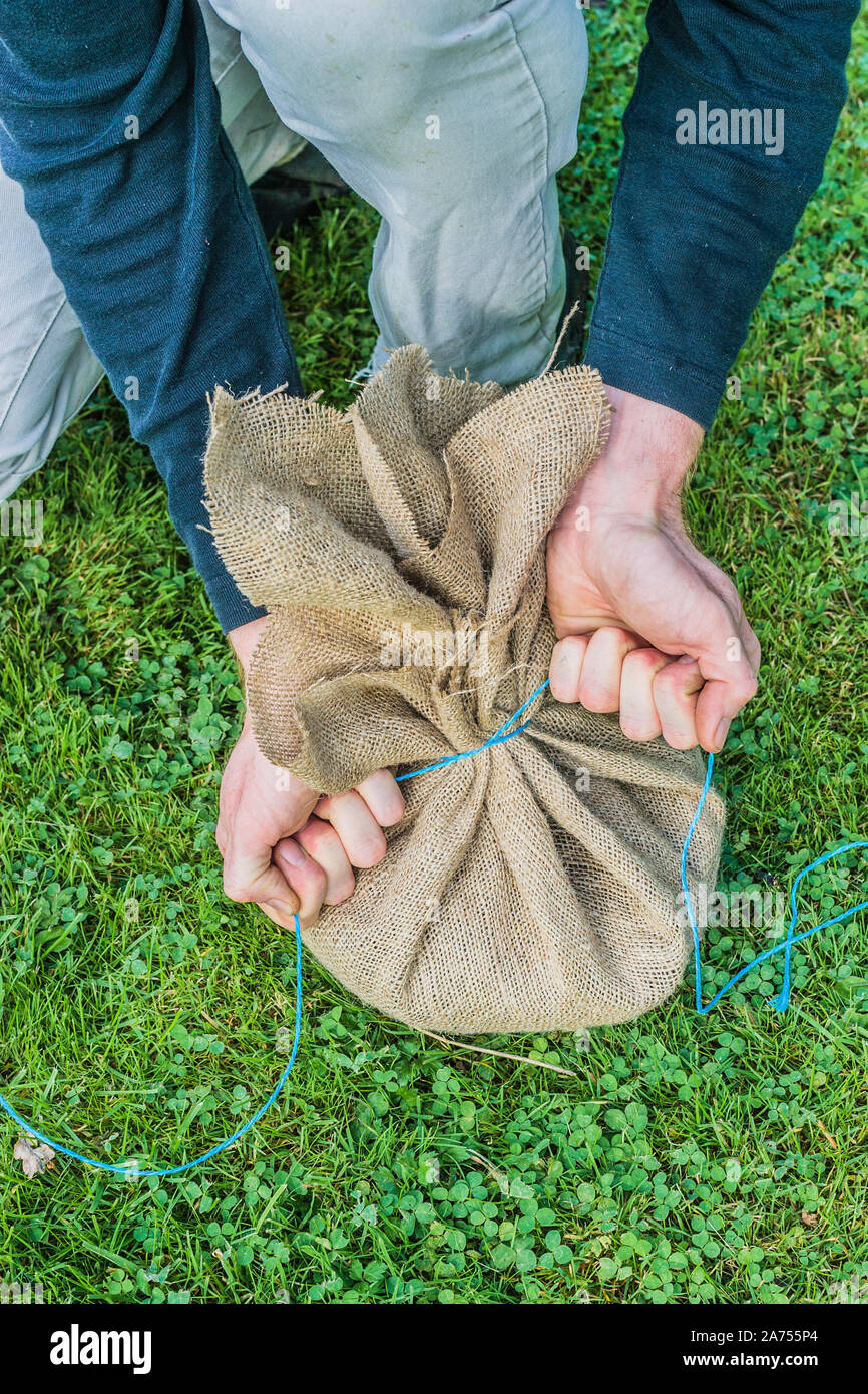 Preparation of compost tea (step by step). Preparation of compost tea ...