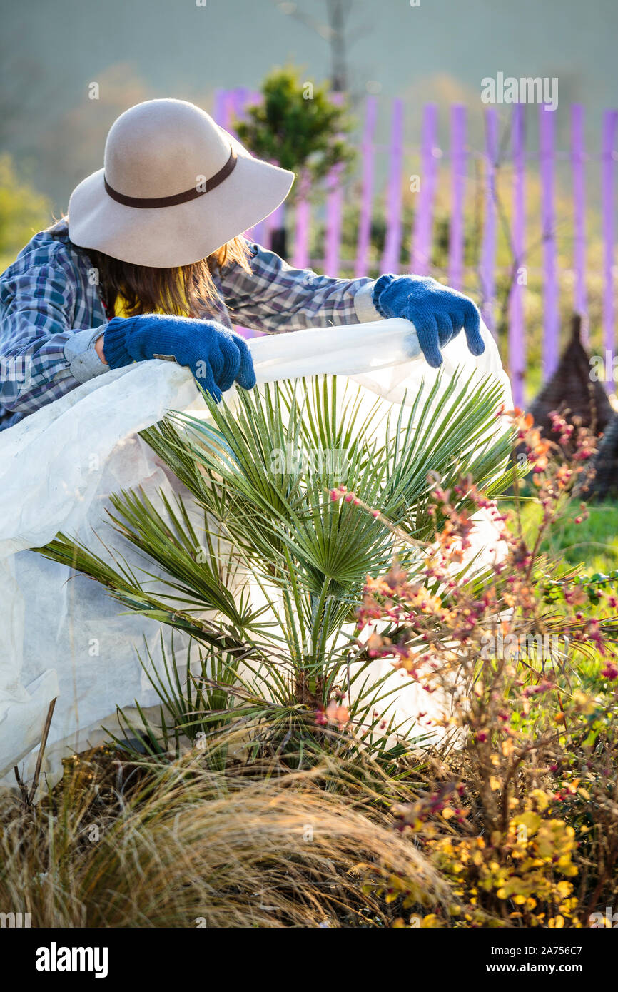 Protecting species hi-res stock photography and images - Alamy
