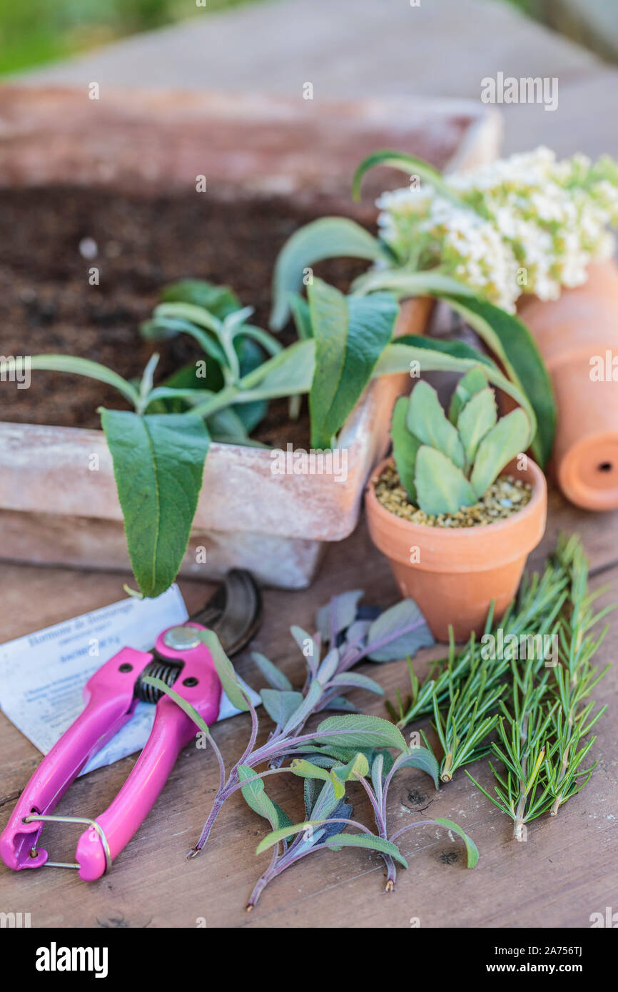 Static scene of cuttings in summer Stock Photo - Alamy