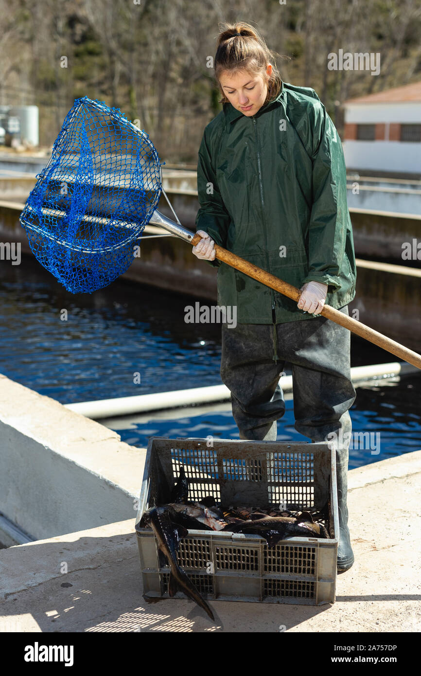 Pool enclosures hi-res stock photography and images - Alamy