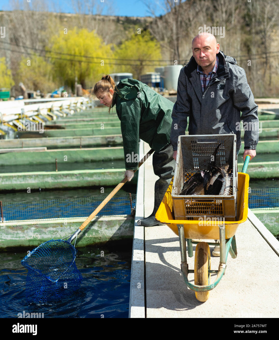 Farmed commercially hi-res stock photography and images - Alamy