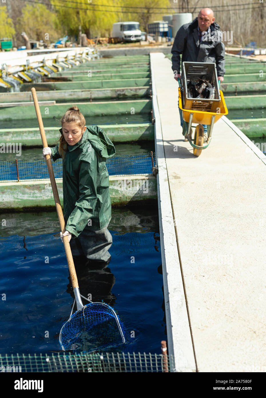 Young trout hatchery hi-res stock photography and images - Alamy