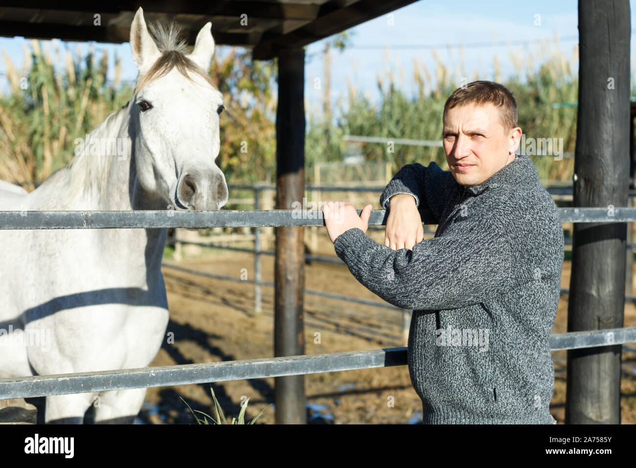 Preparing horse feed hi-res stock photography and images - Alamy