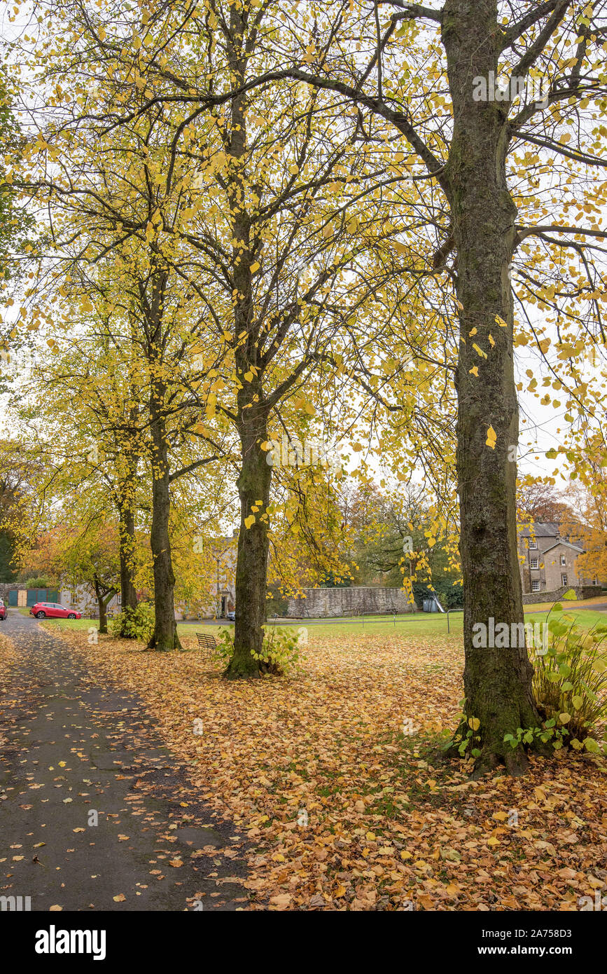 Village green langcliffe langcliffe near settle hi-res stock ...