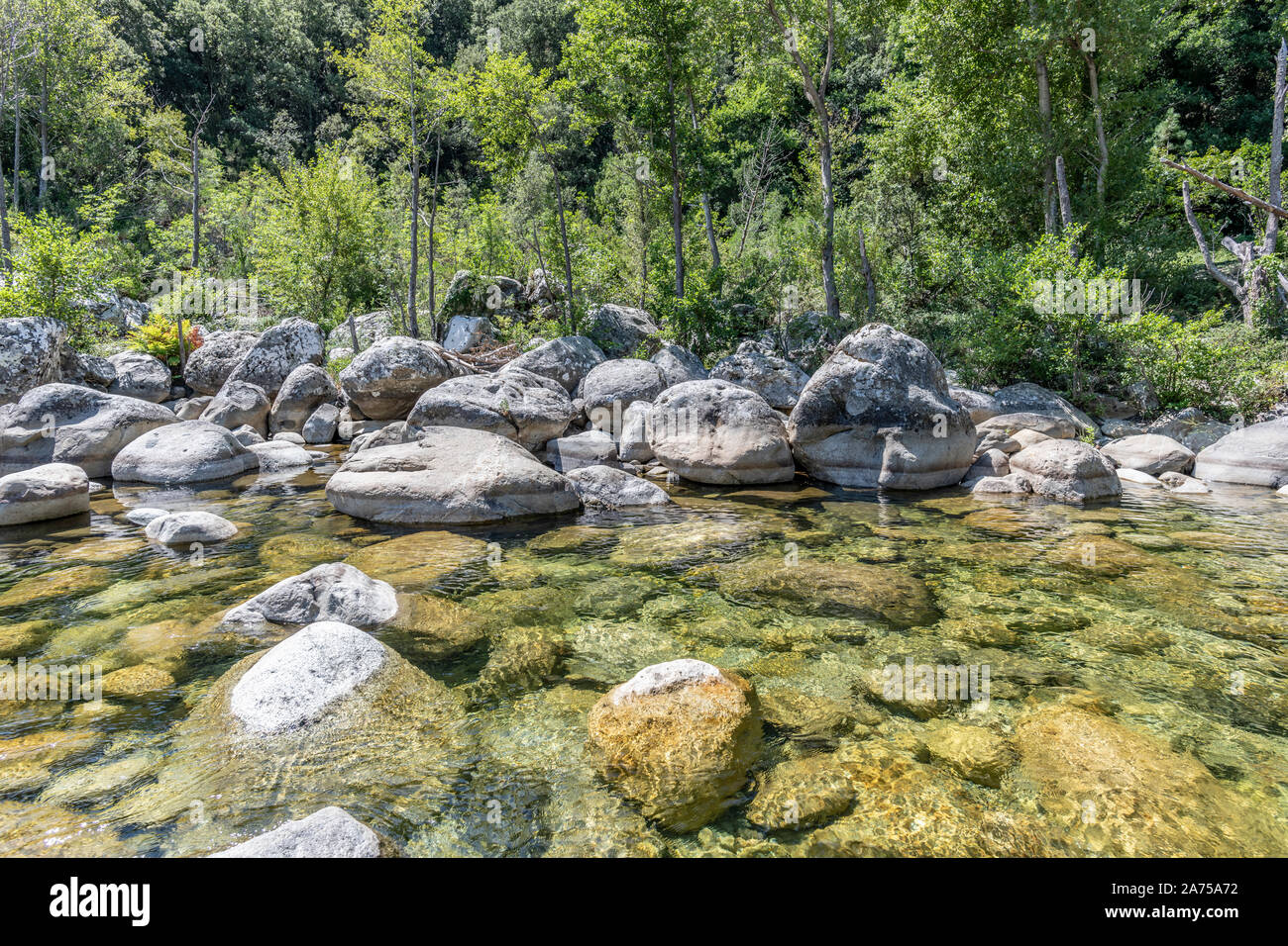 Pure and fresh water natural pool of Travu River, Corsica, France ...