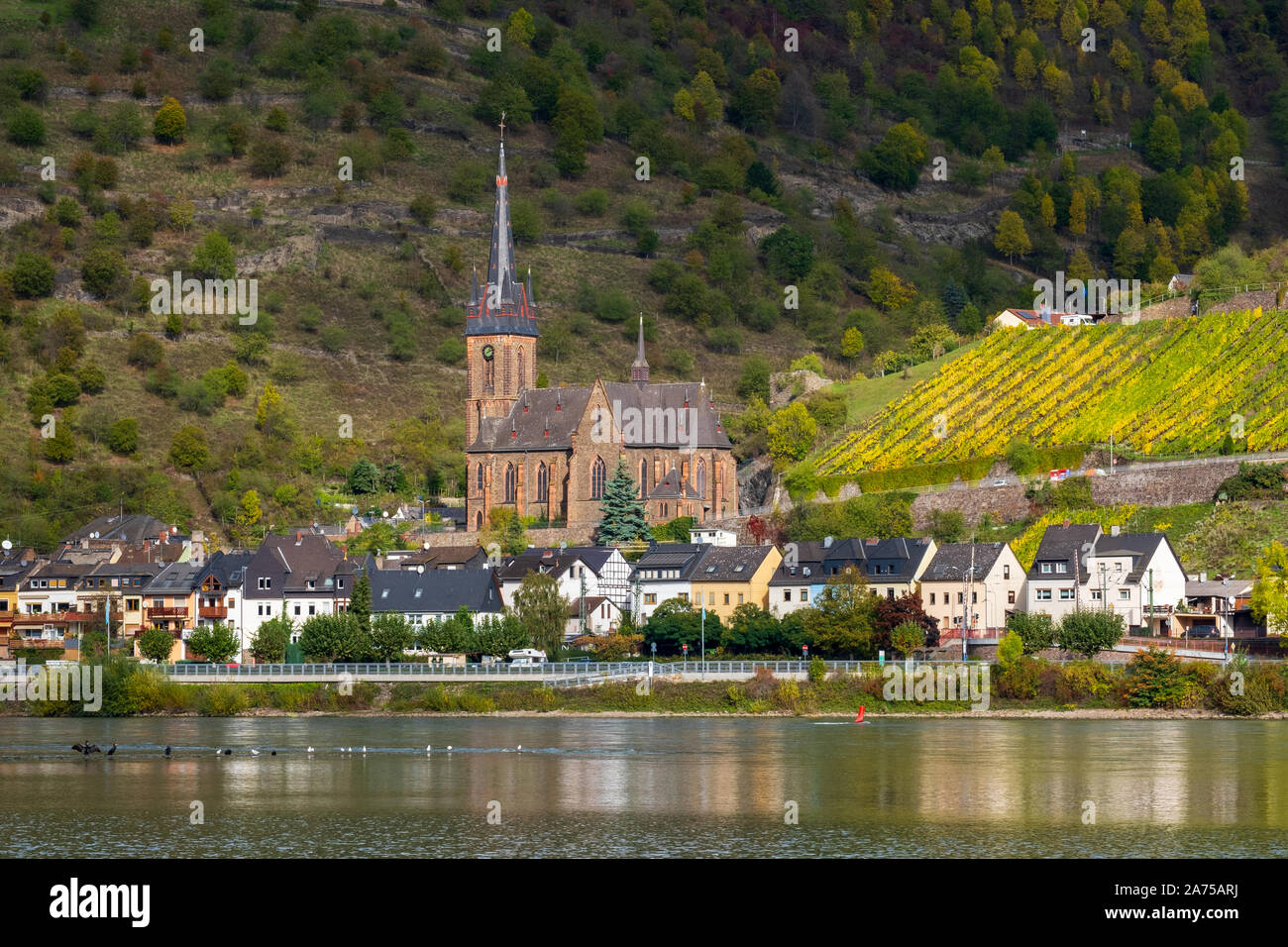 German village of Lorch by the Rhine river in autumn, Germany Stock ...