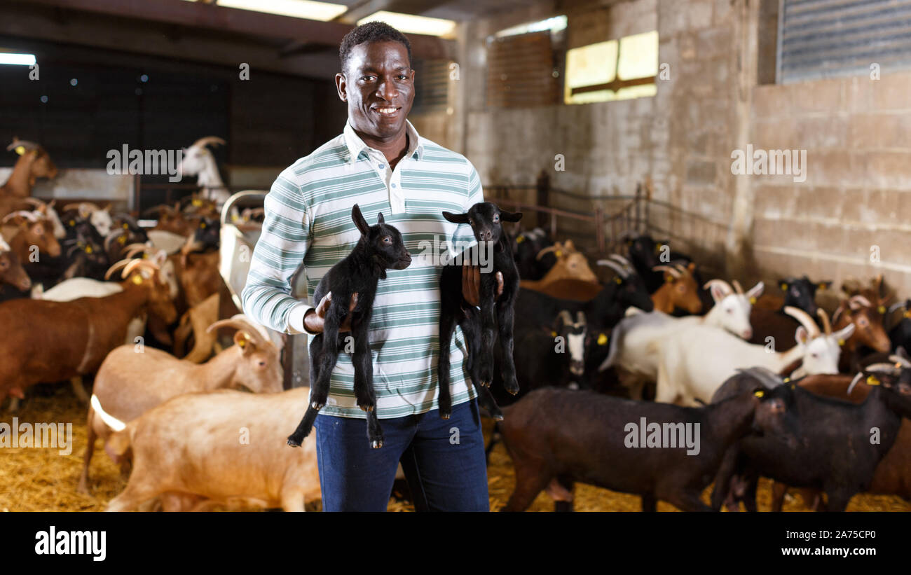 Portrait of experienced African American owner of goat farm looking ...