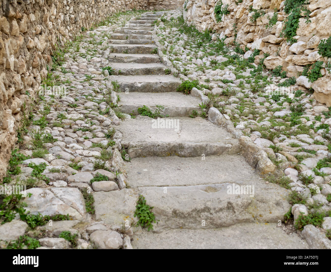 Grey stone steps hi-res stock photography and images - Alamy