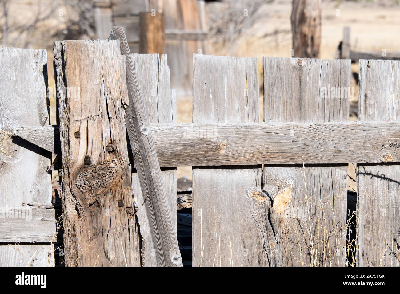 Thicket fence hi-res stock photography and images - Alamy