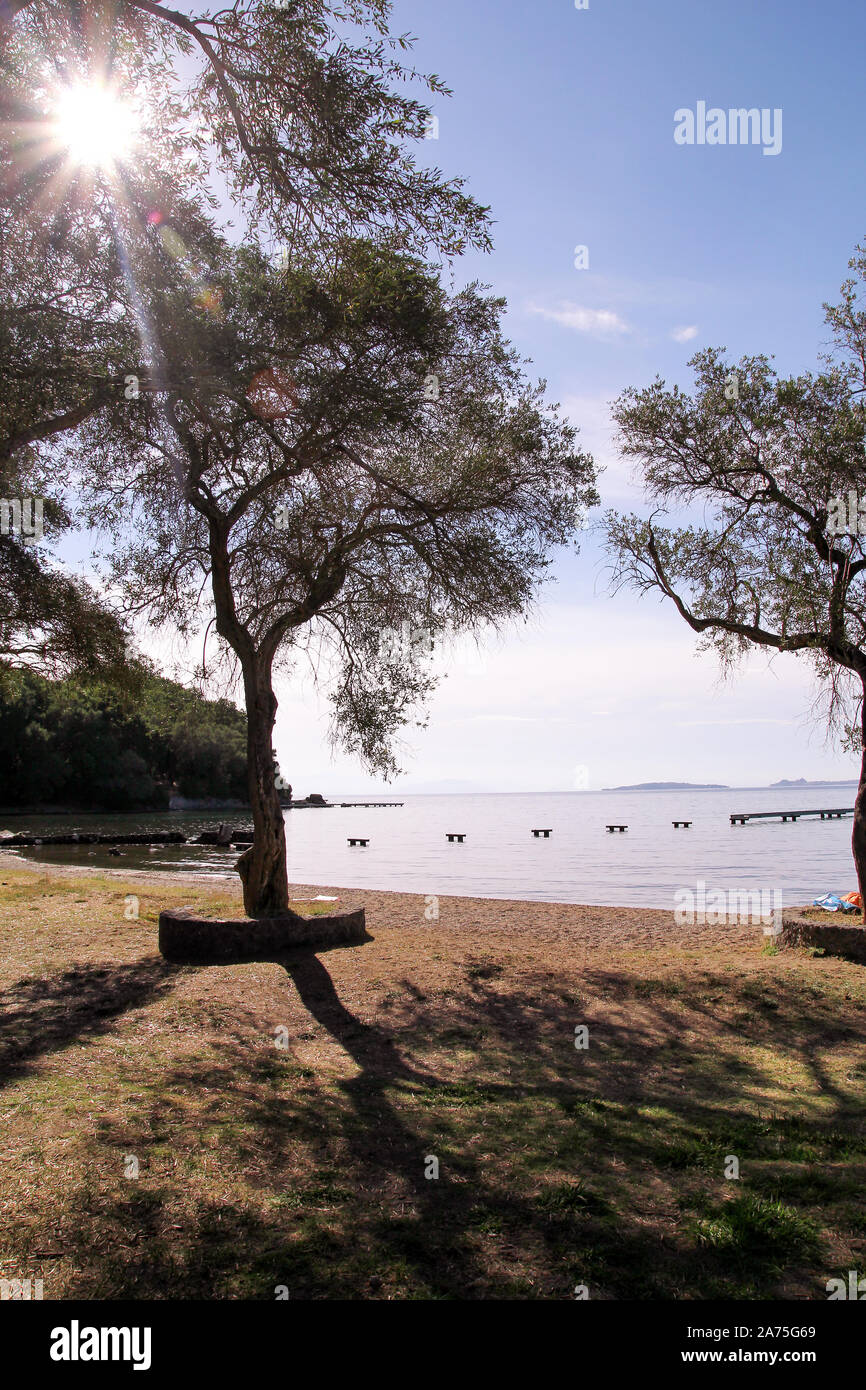 View out sea through tropical hi-res stock photography and images - Alamy