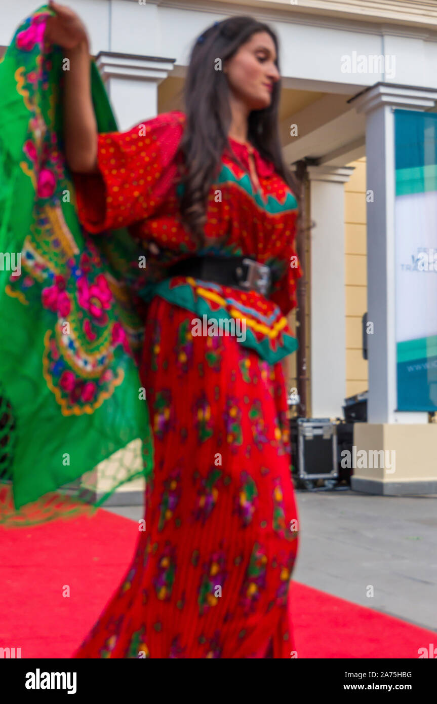 Bohemian Gypsy Life at Sibiu Internațional Poetry Roma Festival ...