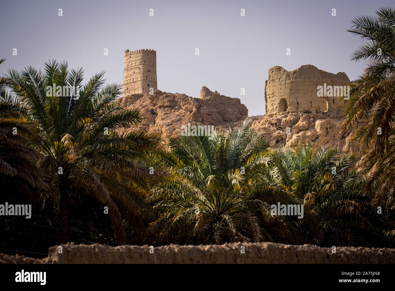 Fanja hi-res stock photography and images - Alamy