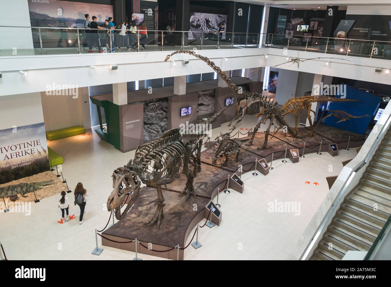 Svilajnac serbia hi-res stock photography and images - Alamy