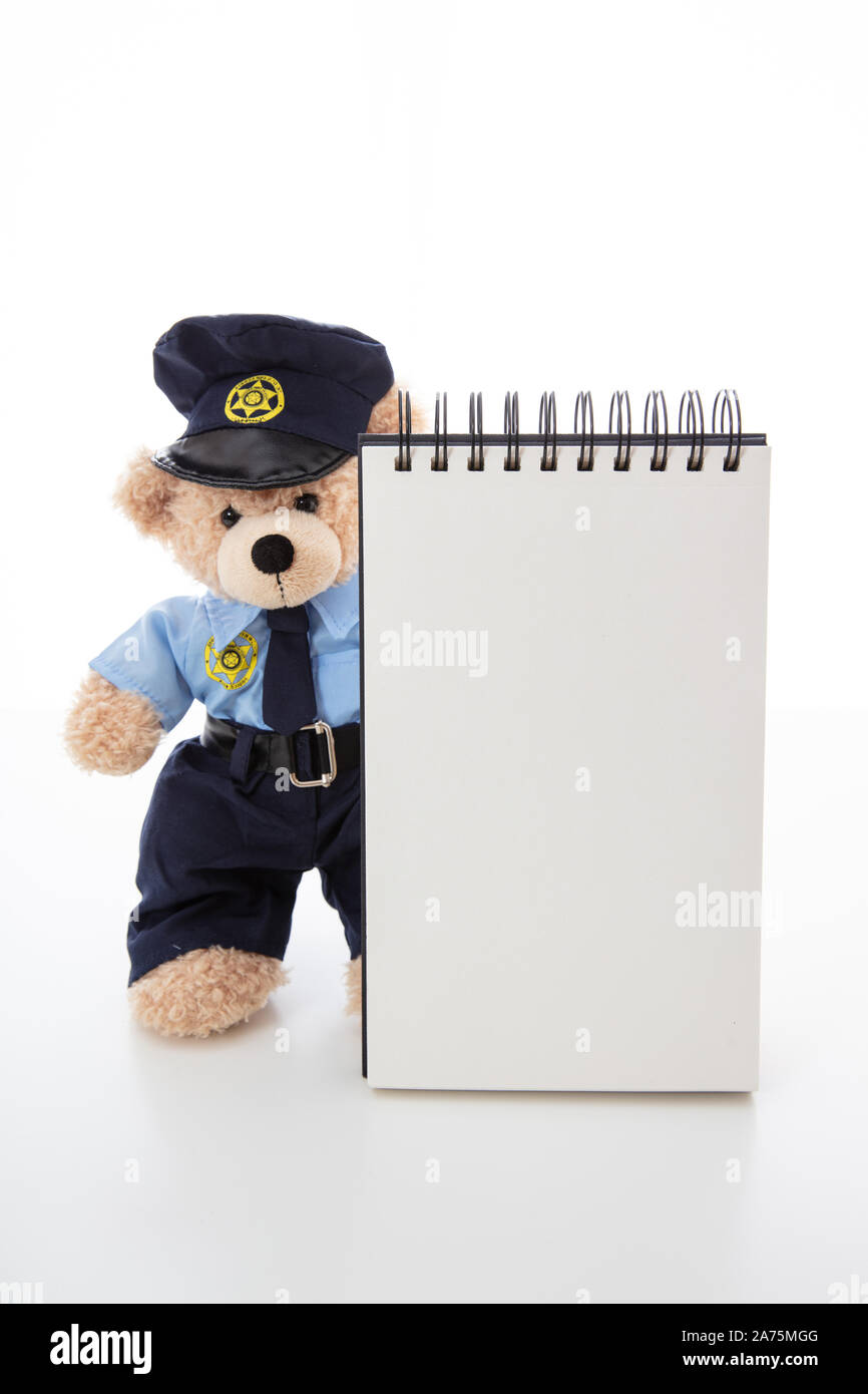 Blank Police Citation