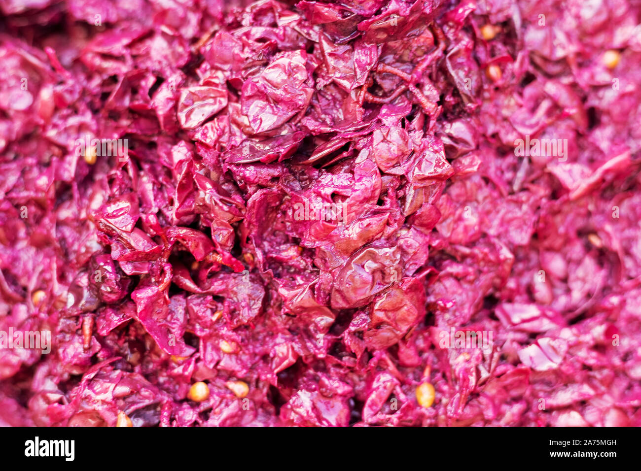 Crushed grapes in barrel fermenting. Fermentation of the pulp from ...