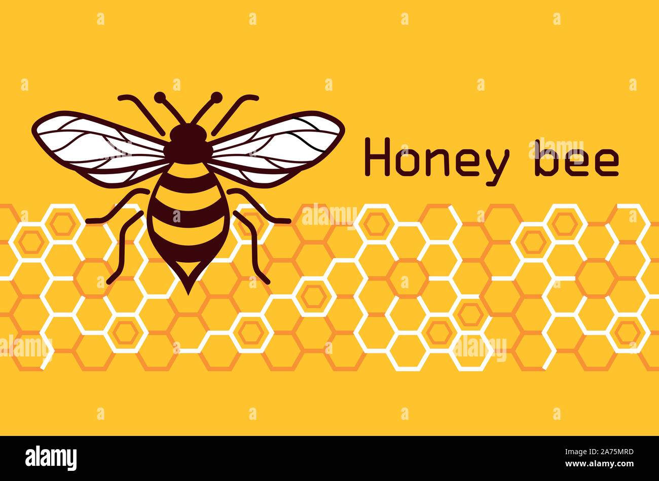 Honey bee vector image. Vector image of a bee with honeycombs Stock ...