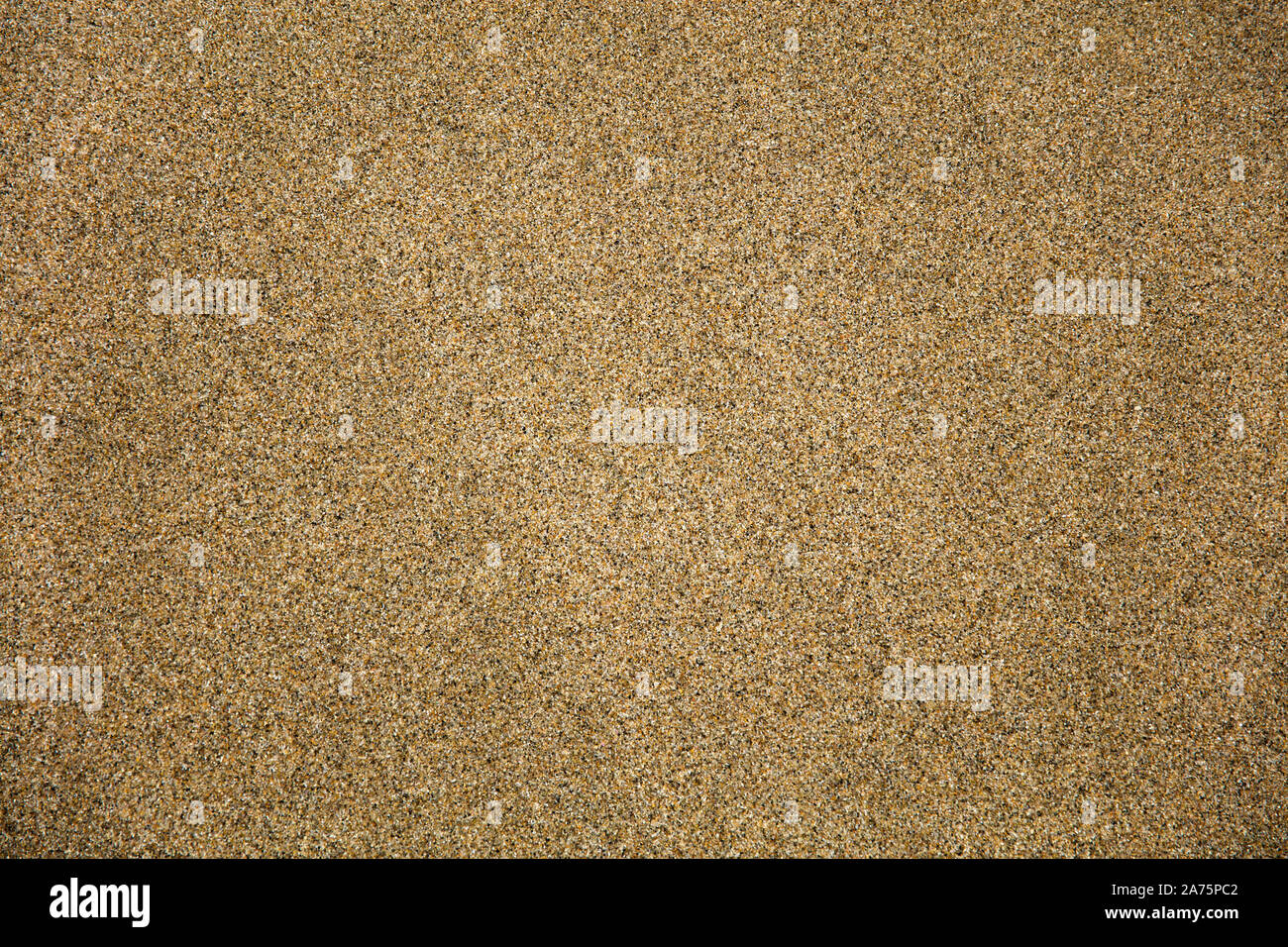Beach sand surface texture from tropical Caribbean sea Stock Photo - Alamy