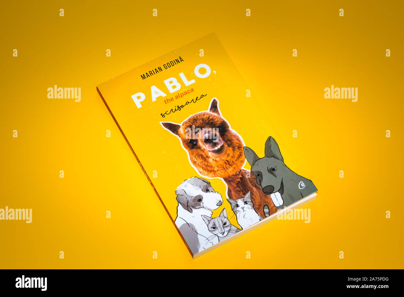 Marian godina hi-res stock photography and images - Alamy