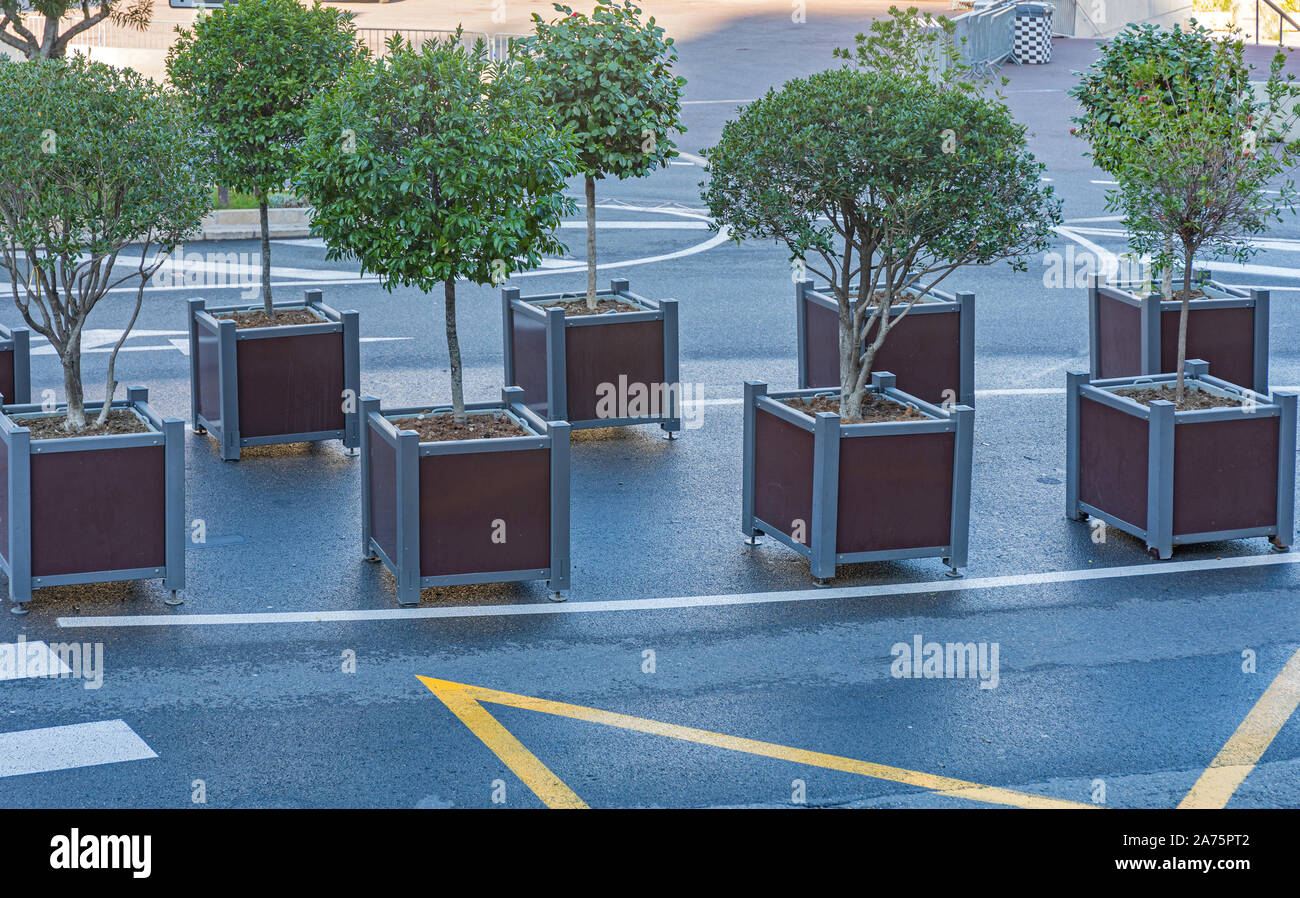 Trees in Pots at Street in Monaco Stock Photo - Alamy
