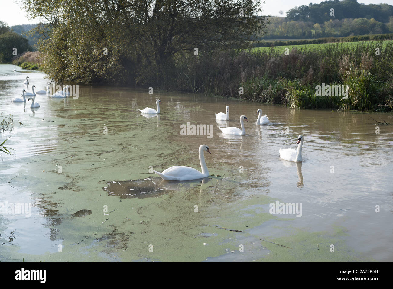 Grantham Canal Towpath High Resolution Stock Photography and Images - Alamy