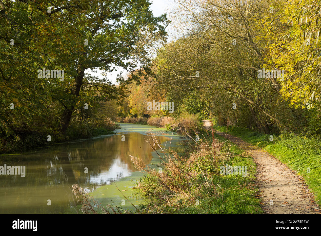 Canal walk in autumn colours hi-res stock photography and images - Alamy