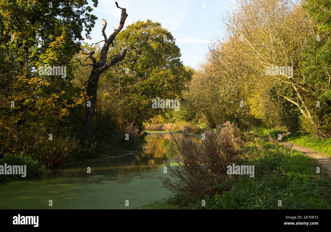 Grantham Canal Towpath High Resolution Stock Photography and Images - Alamy