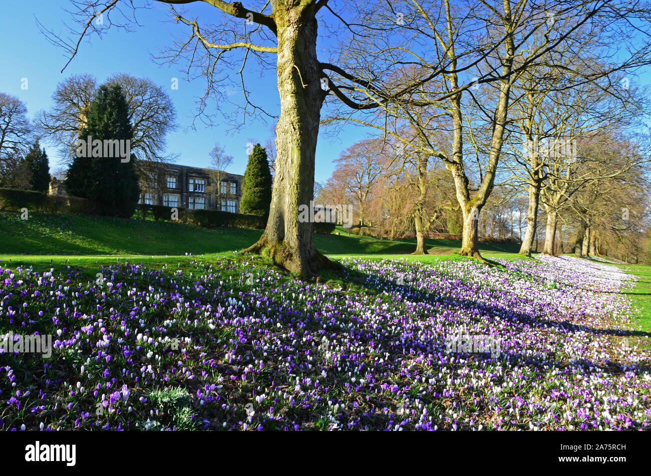 Cliffe castle hi-res stock photography and images - Alamy