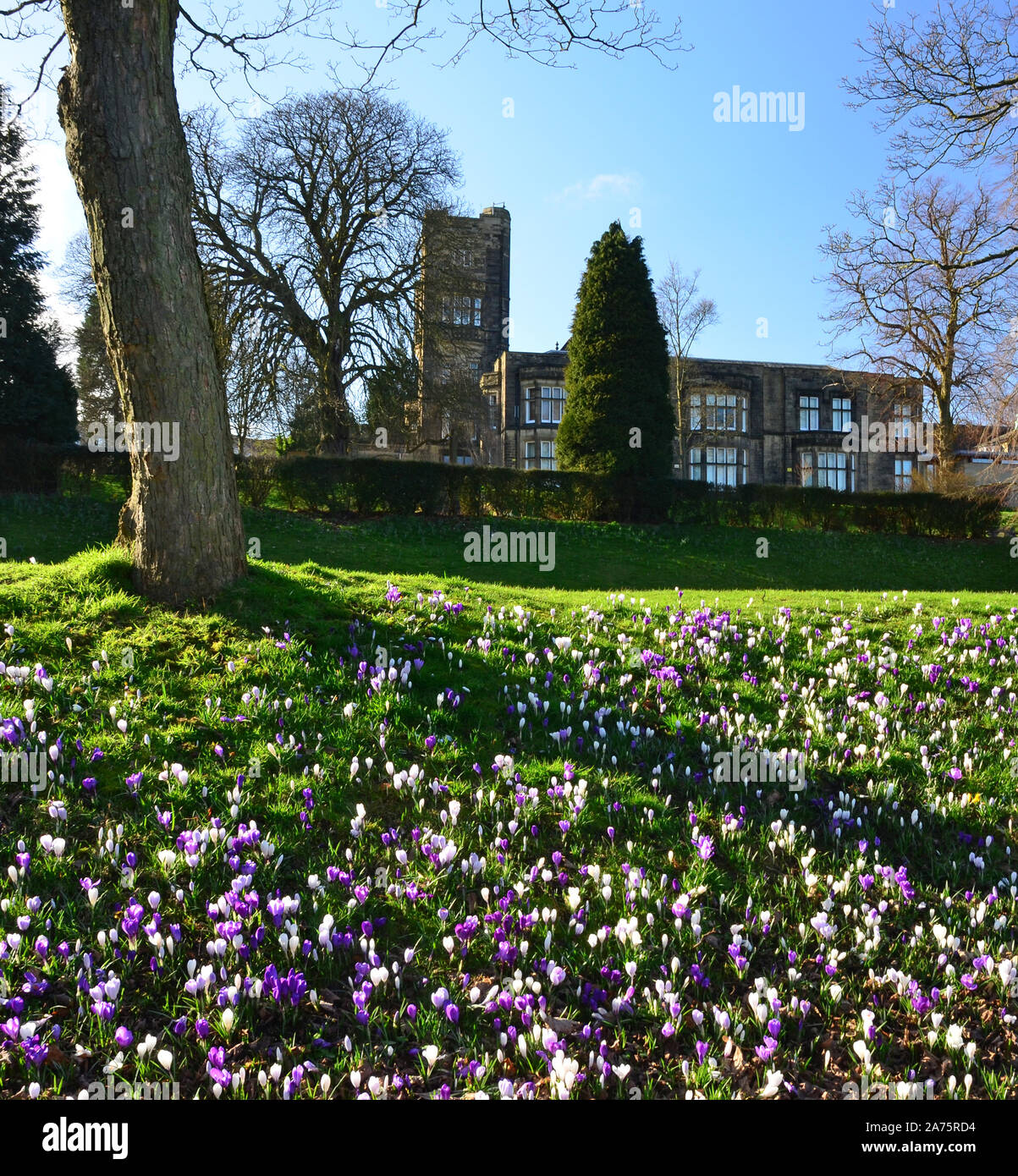 Cliffe castle hi-res stock photography and images - Alamy