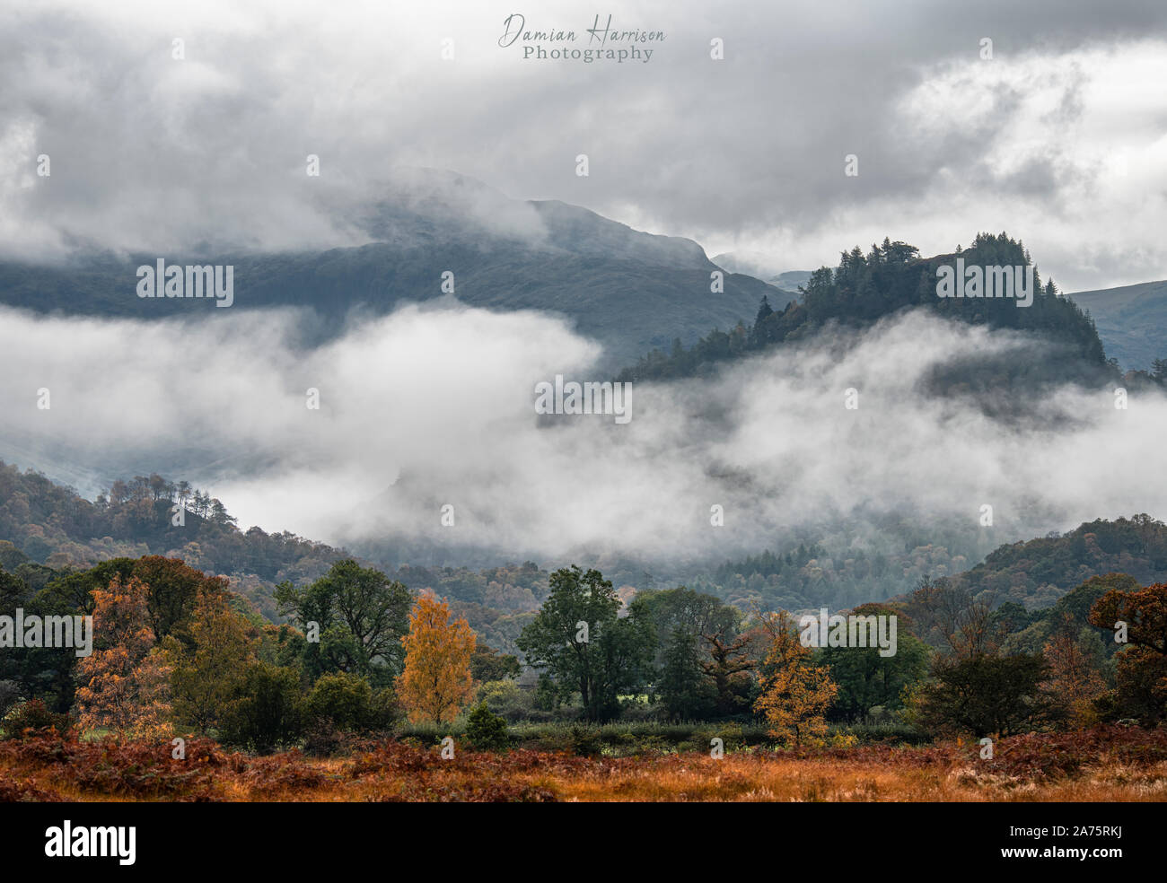 Low mist over Autumnal colour at Manesty Park Stock Photo - Alamy