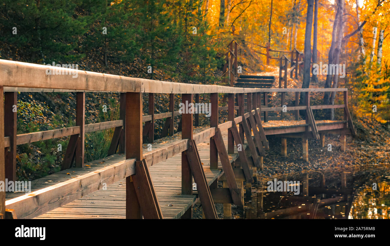 Forest footbridge on the lake shore with wooden balustrades on a ...