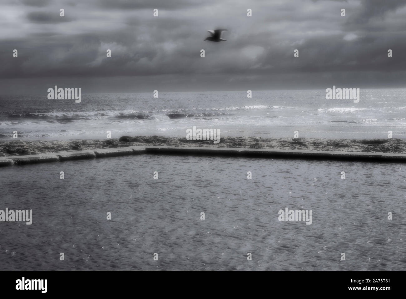 infrared image - tidal pool at low tide - viking bay - resort of ...