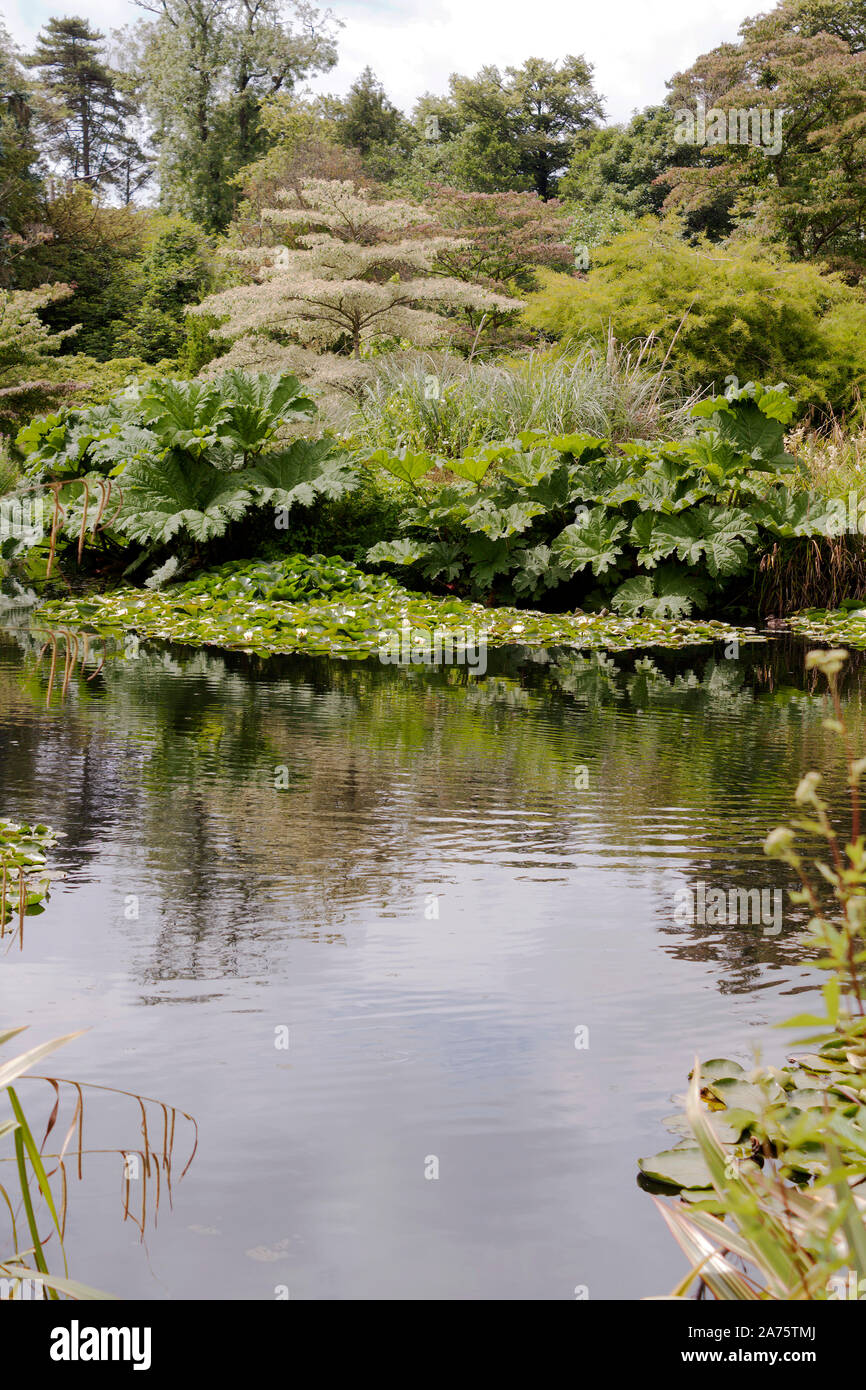 Beautiful garden pond surrounded trees hi-res stock photography and ...