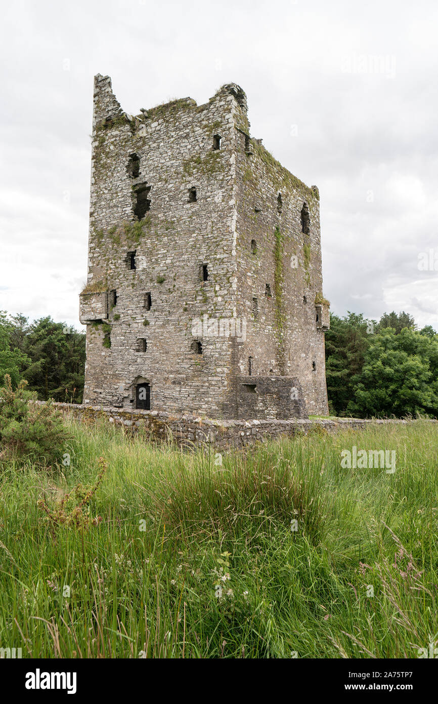 The remains of the medieval tower house in Ballynacarriga, County Cork ...