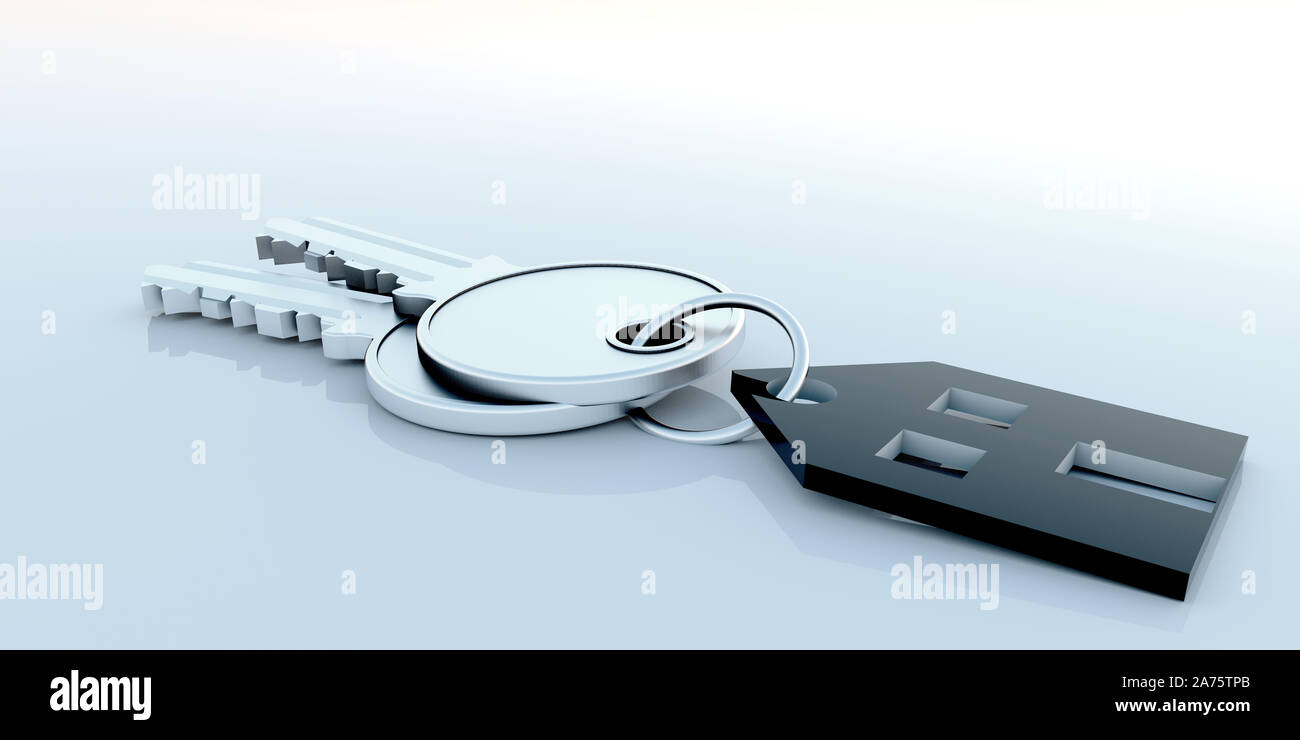 Key with a House Keychain for a new Home Extremely detailed and ...