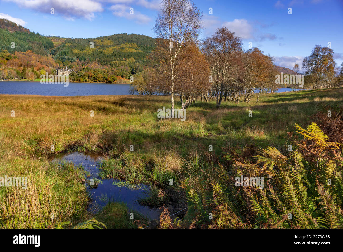Loch Achray Trossachs High Resolution Stock Photography and Images - Alamy