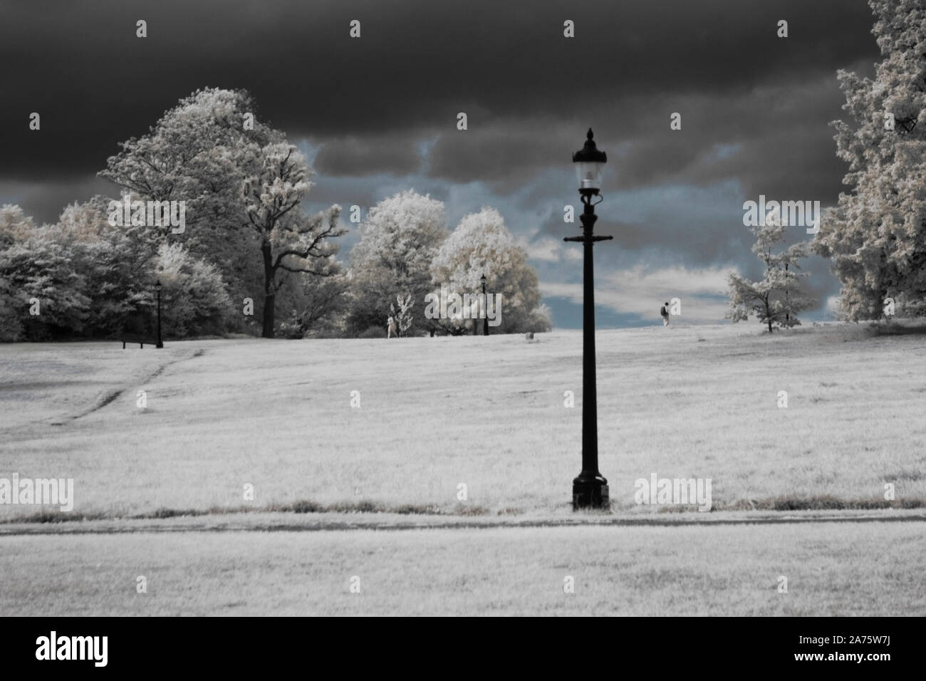 Primrose hill grove grove hi-res stock photography and images - Alamy